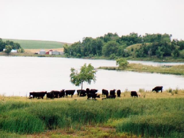 Halal Management System | PPT