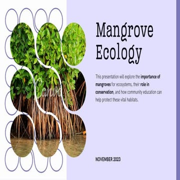 Presentation on Mangrove Ecology and is benefits_ .pdf