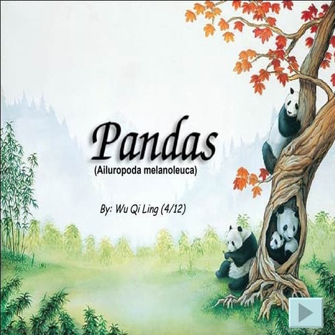 Presentation On Pandas | PPT
