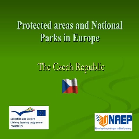 Presentation Pa And Np In Cz | PPT