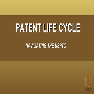 Patent Life Cycle | PDF