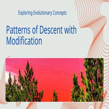 Presentation - Patterns of Descent with Modification.pptx