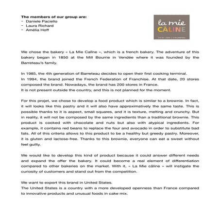 Presentation Project | PDF