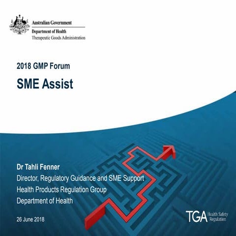 Presentation SME Assist | PDF