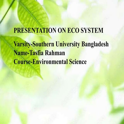 Presentation on ecosystem | PPTX | Geography | Science