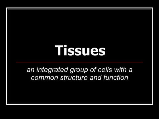 Presentation03 - Plant and Animal Tissues | PPT