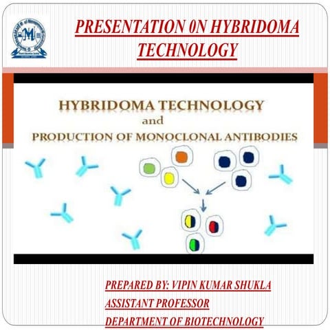 Hybridoma Technology | PPTX