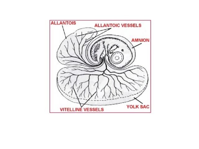 Cookery 10 q1 mod1 | PDF