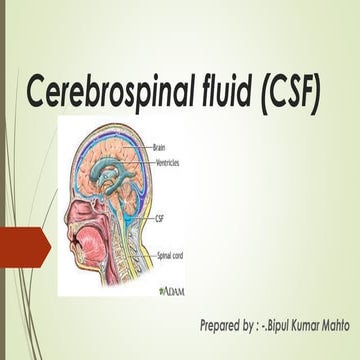 CSF EXAMINATION BY BIPUL Kumar matho | PDF | Brain and Nervous System ...