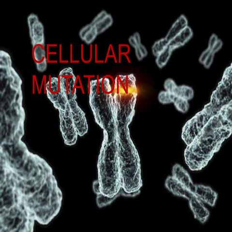 Cellular Mutation | PPTX | Genetics | Science