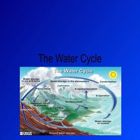 Presentation1 | PPT