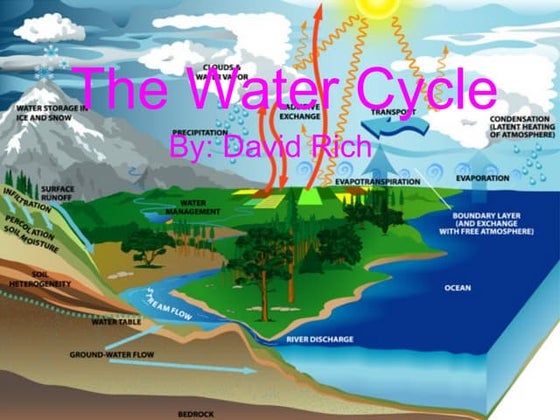 The water cycle ppt | PPT