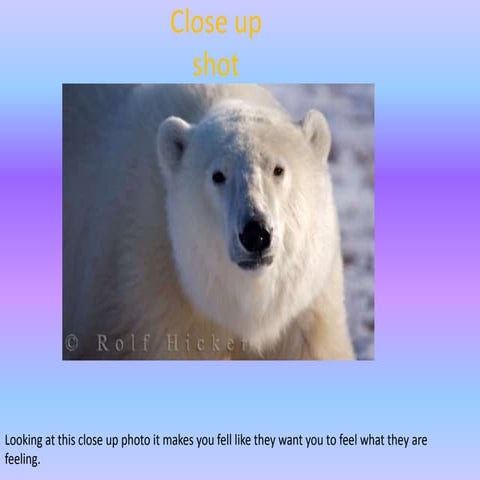 Georgia Spicer User's Guide | PPT