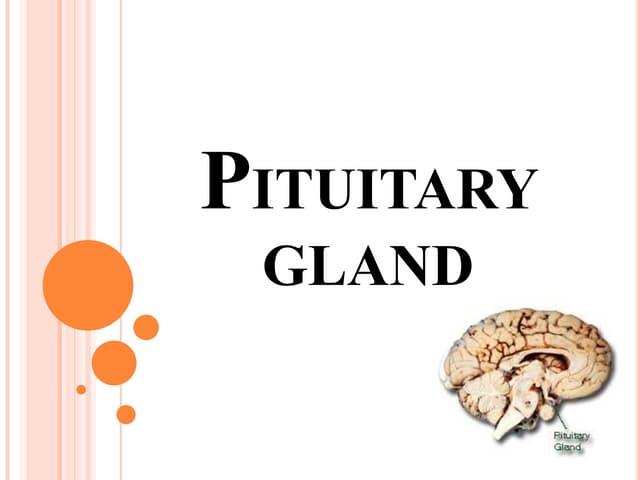 Histological structure of pituitory gland | PPTX