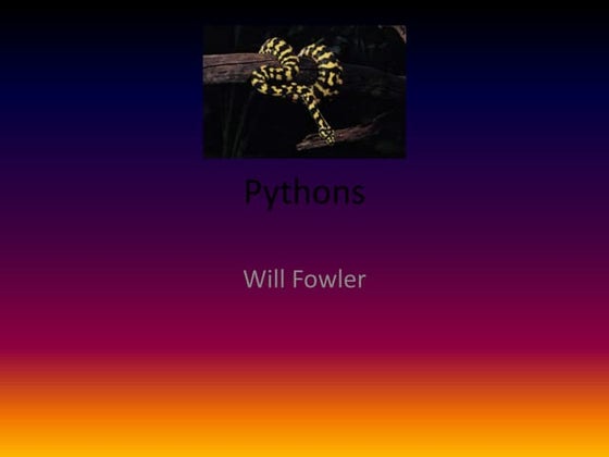Pythons Ppt
