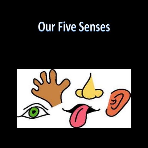 Our senses | PPT