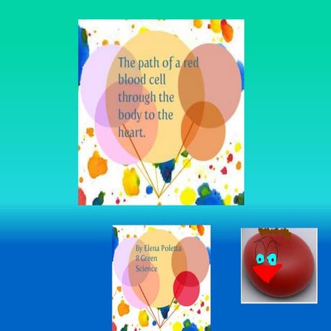 the path of red blood cell through the body to the heart | PPTX