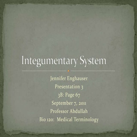 The Integumentary System - Medical Terminology | PPTX