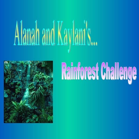 Rainforest Challenge | PPT