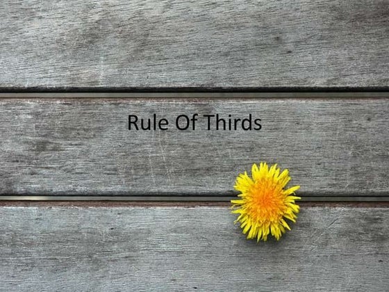 Composition Rules | PPTX