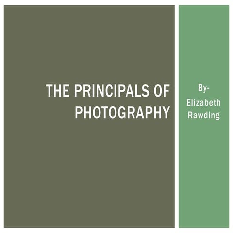Elements and Principles of Design in Photography.pdf