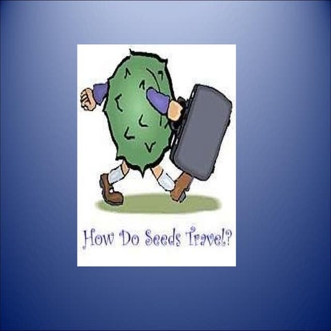 PLANTS AND SEEDS - GRADE 5 | PPT