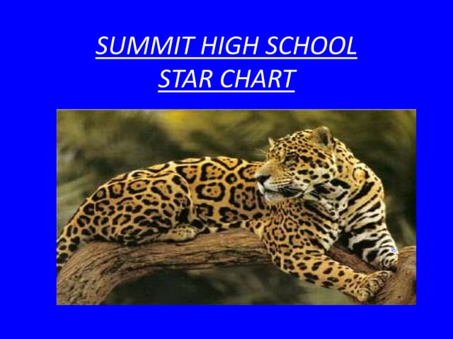 Texas Campus S Ta R Chart Summary | PPT