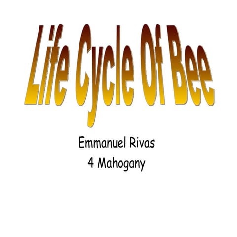 Life Cycle of Bee | PPT | Beekeeping | Hobbies & Interests