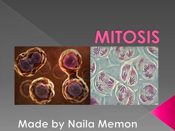 Mitosis | PPTX