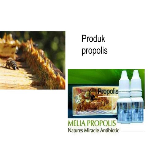 Introduction of BBA (PROPOLIS-ppt).pptx