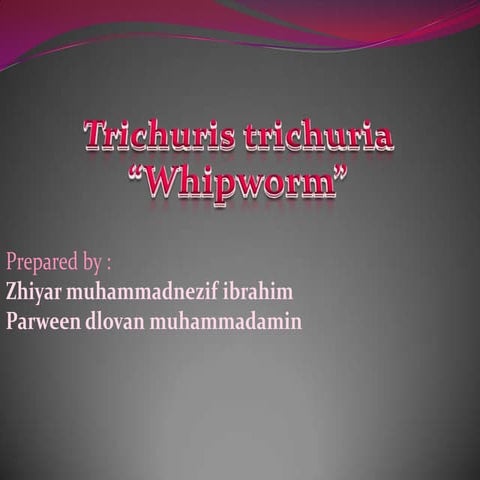 TRICHURIS TRICHURIA | PPTX