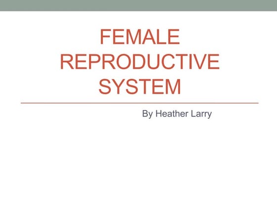 Fertilization Pptx Pregnancy Reproductive Health