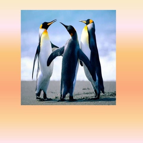 Presentation1 | PPTX