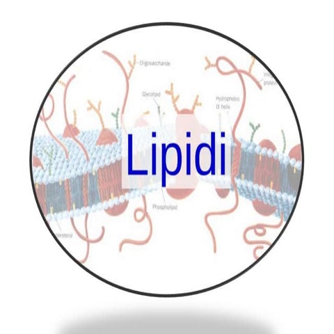 Presentation1 | PPTX