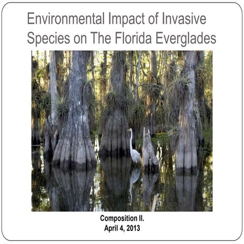 Environmental Impact of Invasive Species on The Florida Everglades | PPTX