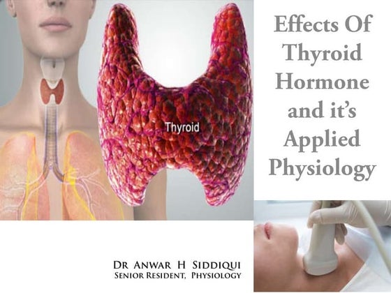 Thyroid hormone (The Guyton and Hall physiology) | PPT