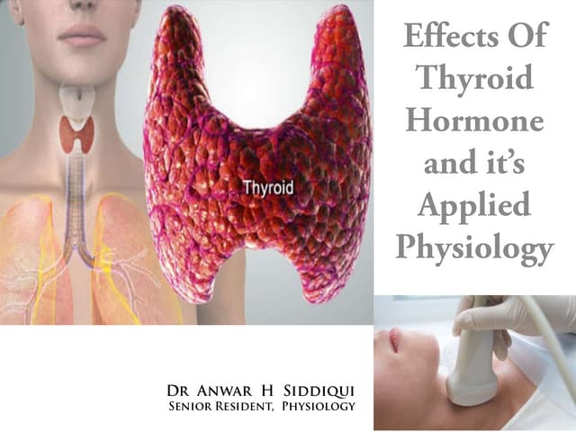 Synthesis of thyroid hormones | PPTX