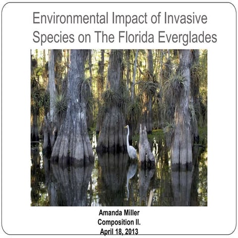 Invasive Species in The Florida Everglades | PPT