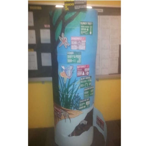 ENBE INFOGRAPHIC POSTER | PPTX