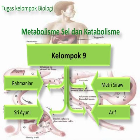 Metabolisme dan Katabolisme | PPTX
