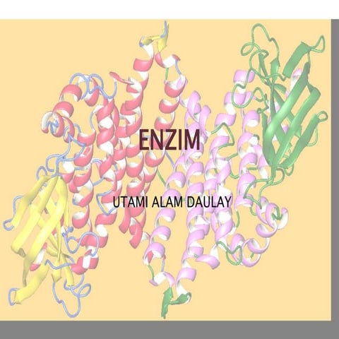 Enzim | PPTX