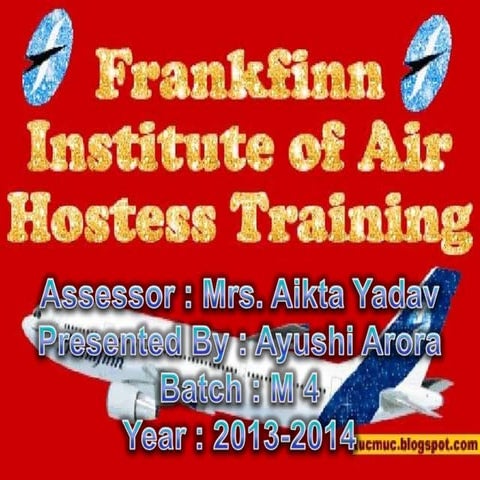 frankfinn grooming | PPT