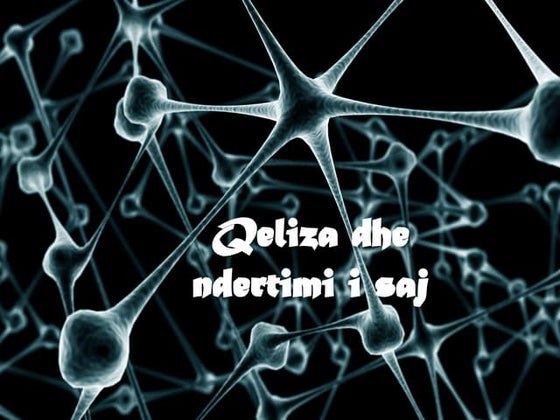 Plan ditor per gjuhe shqipe fillore | PDF