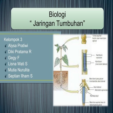 Jaringan Tumbuhan | PPTX