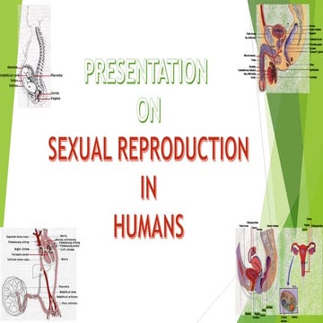 6 Sex Cells And Fertilisation Ppt