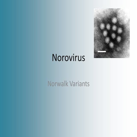 Norovirus | PPTX