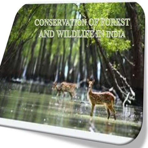 CONSERVATION OF FOREST AND WILDLIFE | PPTX