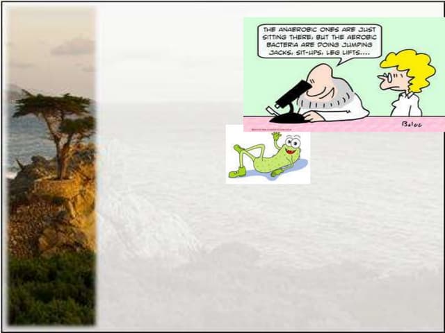 Infection Control Bundles | PPTX