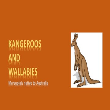 Presentation1 | PPTX | Reptiles | Pets