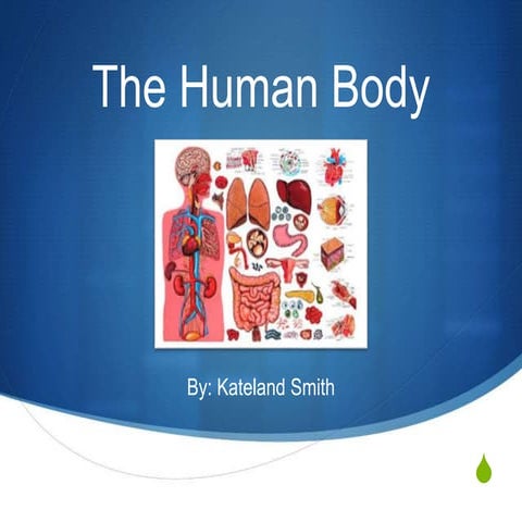 The Human Body Webquest | PPT